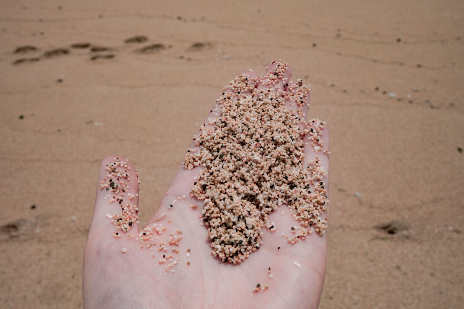 Can I take Sand or Shells from the Beach in Australia? – Travel Hobby