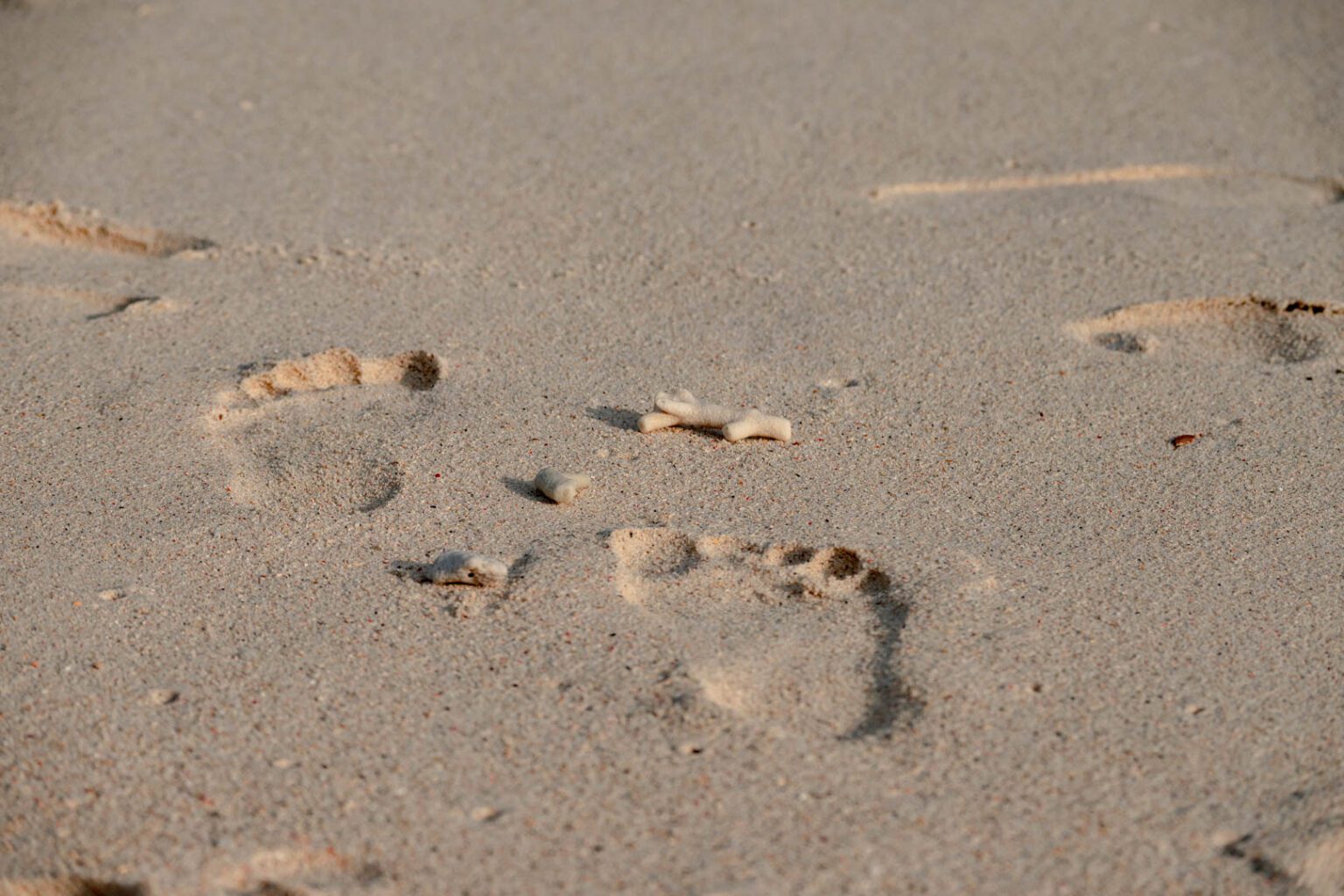 Can I take Sand or Shells from the Beach in Australia? – Travel Hobby